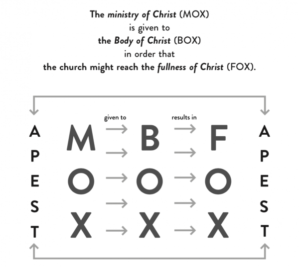 How Does APEST Move Disciples To Fullness In Christ? | 5Q Central