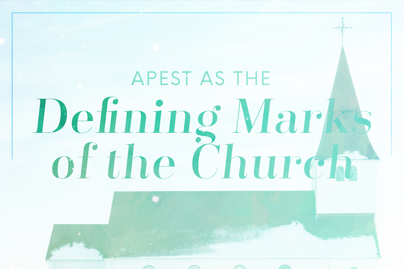 APEST as The Defining Marks of The Church | 5Q Central